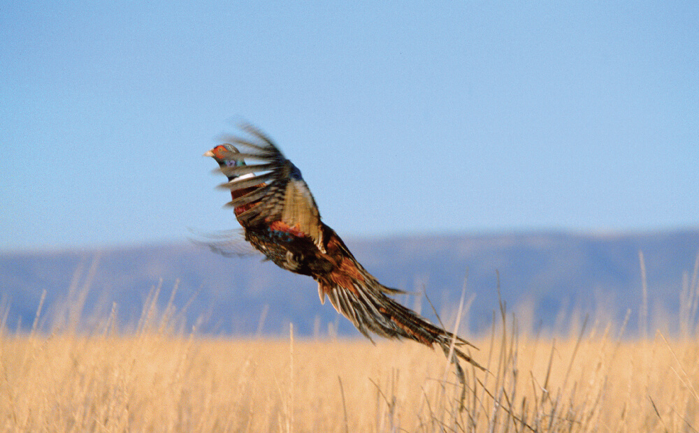 Family Fun Archives - Visit LC Valley