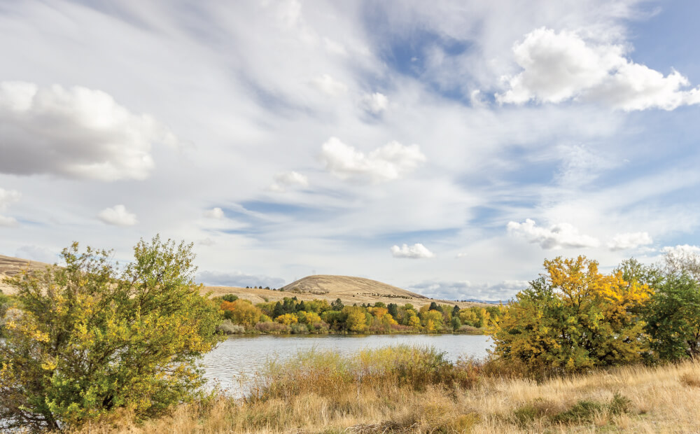 Family Fun Archives - Visit LC Valley