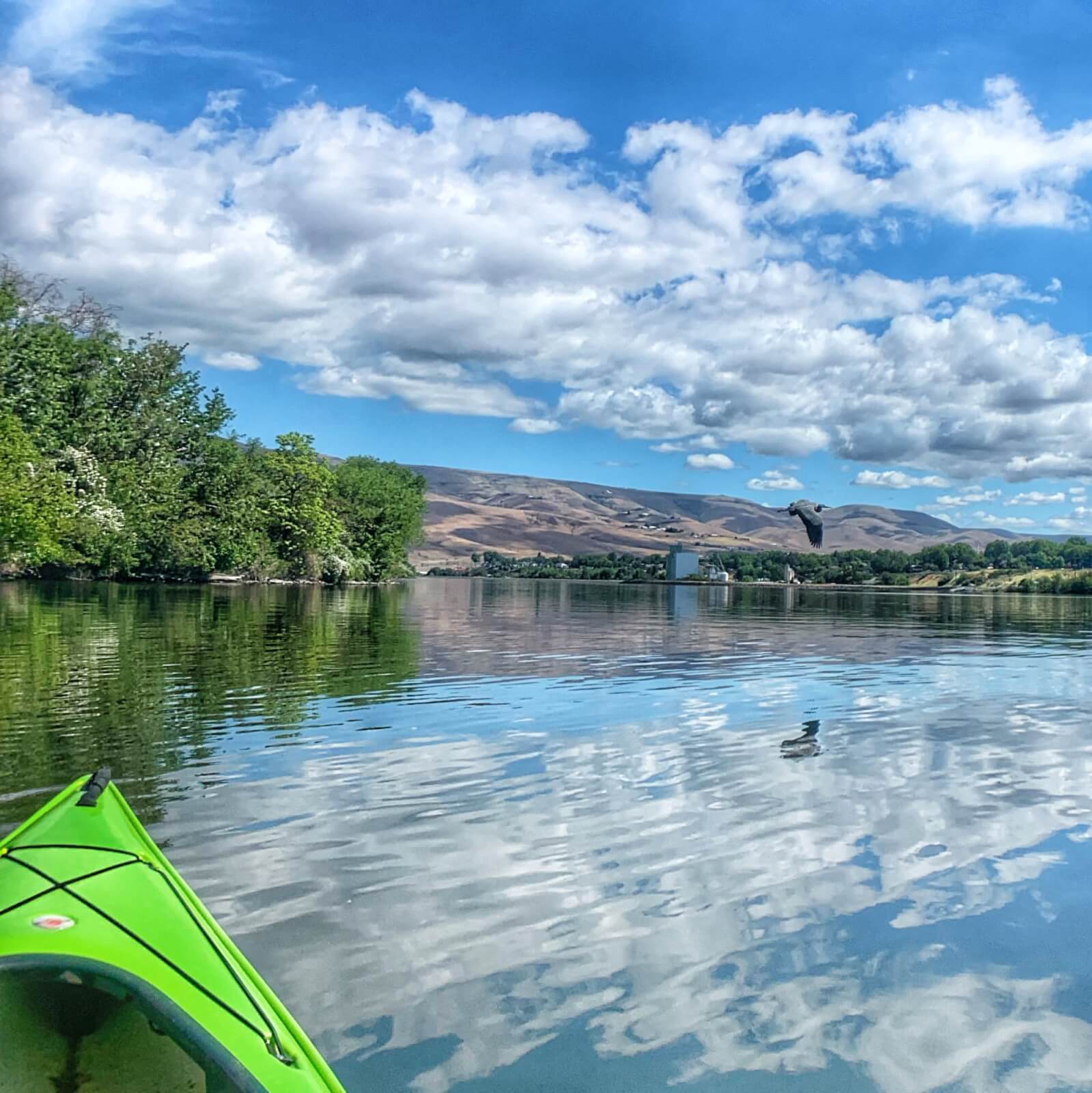 River Recreation - Visit Lewis Clark Valley