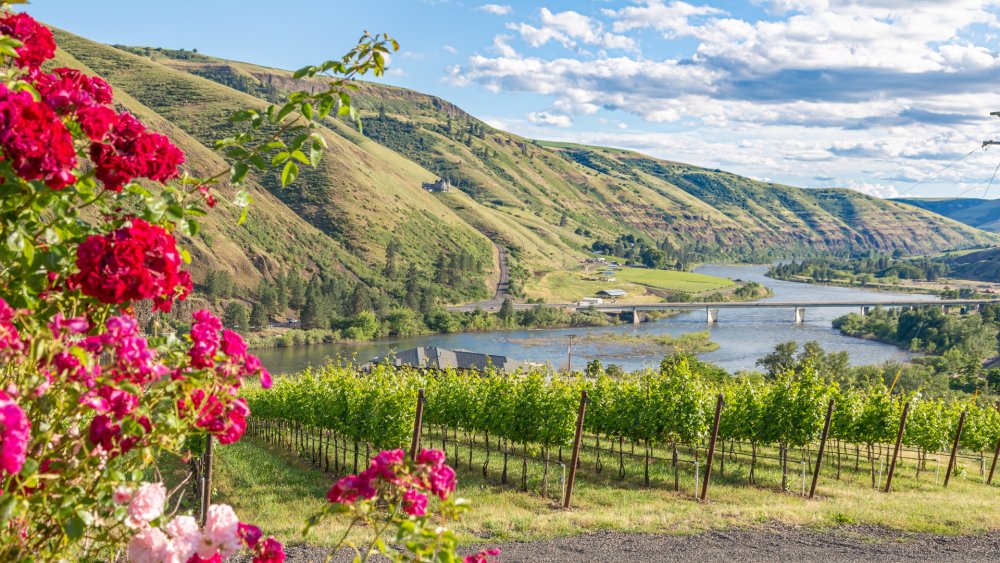 Media - Visit Lewis Clark Valley